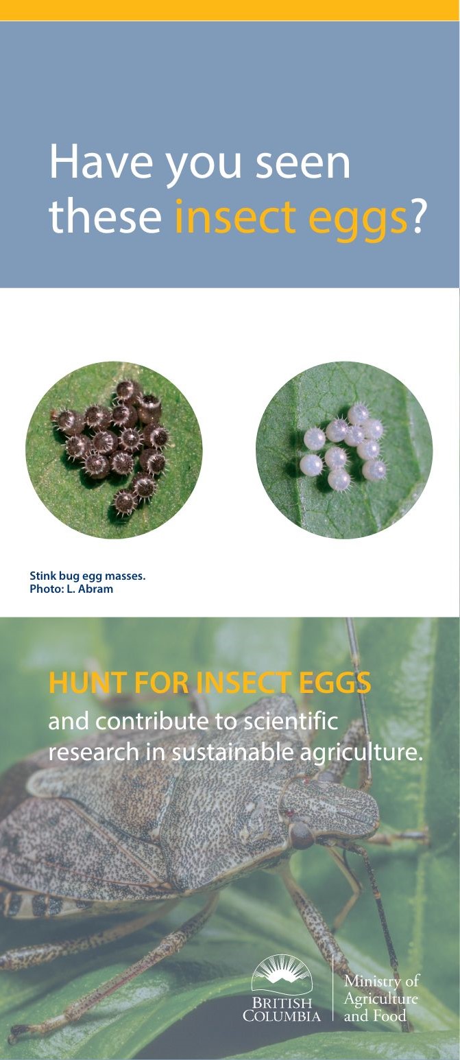 Brown Marmorated Stink Bug – SSISC